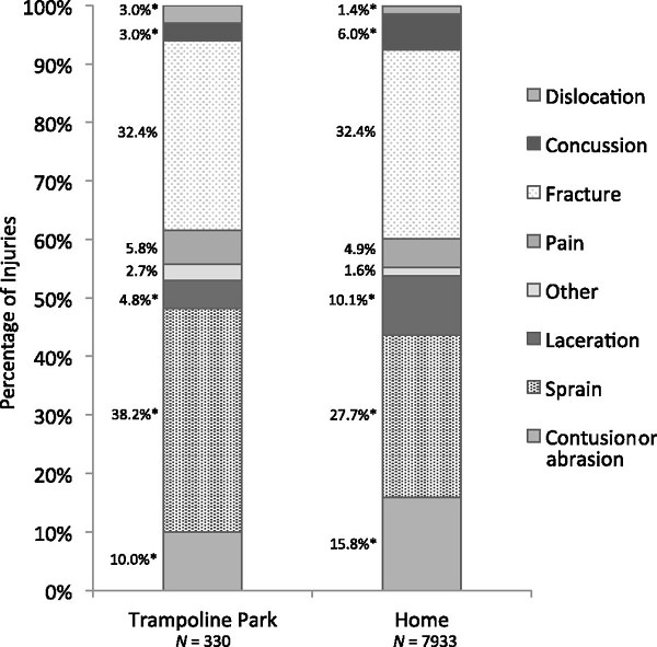 How To Buy A Trampoline: The Comprehensive Guide